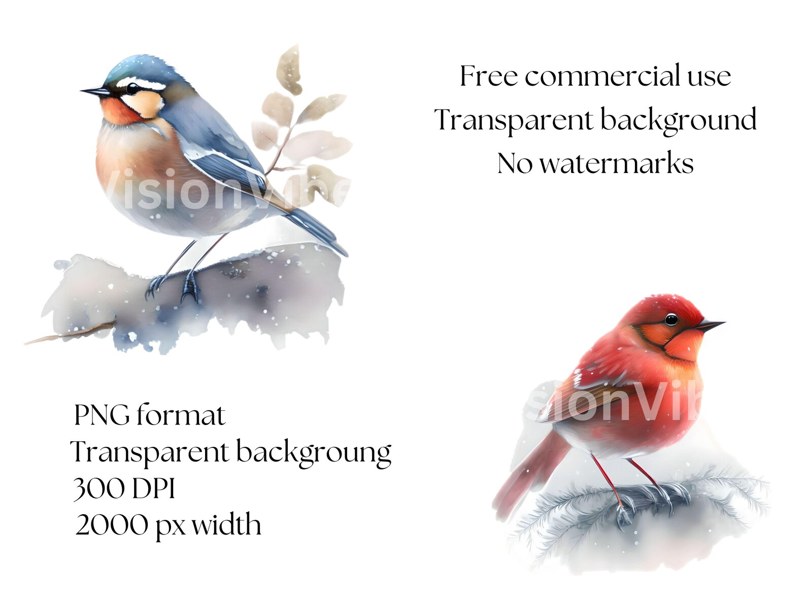 Winter Birds Clipart Bundle Watercolor Bird Clipart Christmas - Etsy