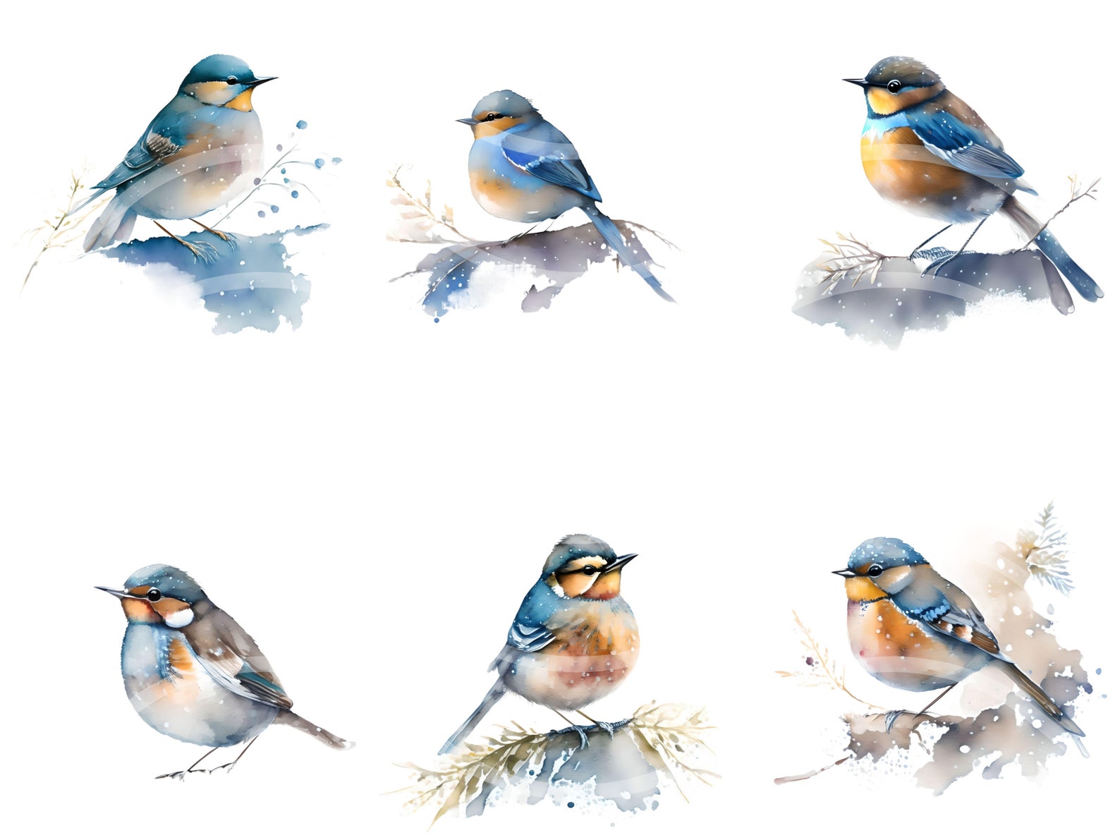 Winter Birds Clipart Bundle Watercolor Bird Clipart Christmas - Etsy