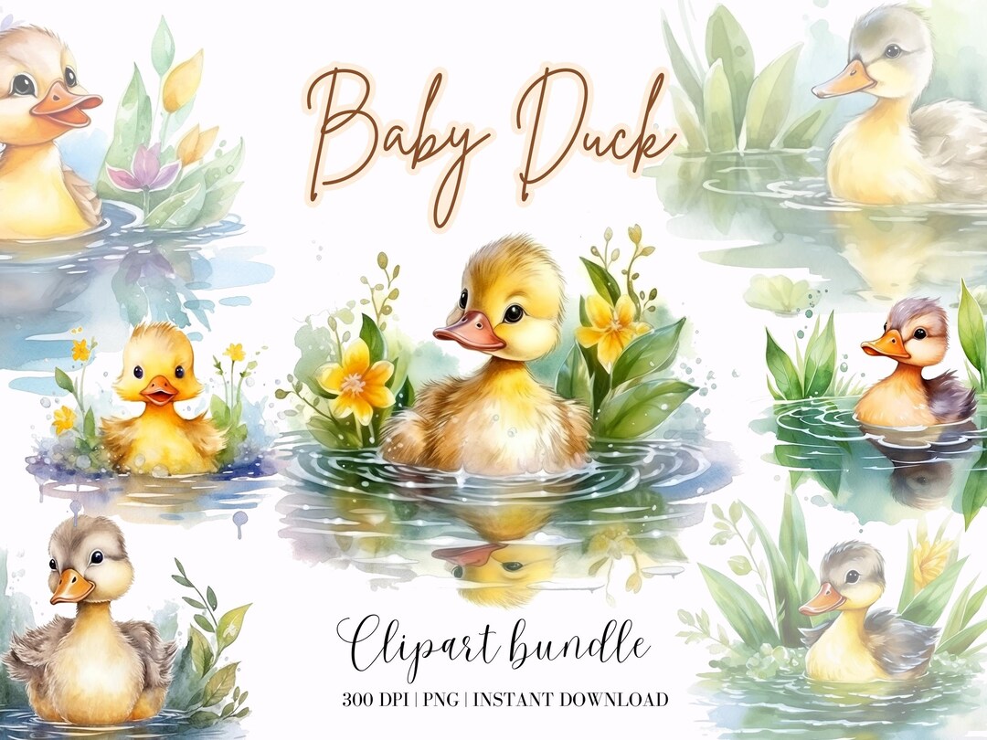 Watercolor Baby Duck in a Pond Clipart Cute Baby Duck Png Watercolor ...