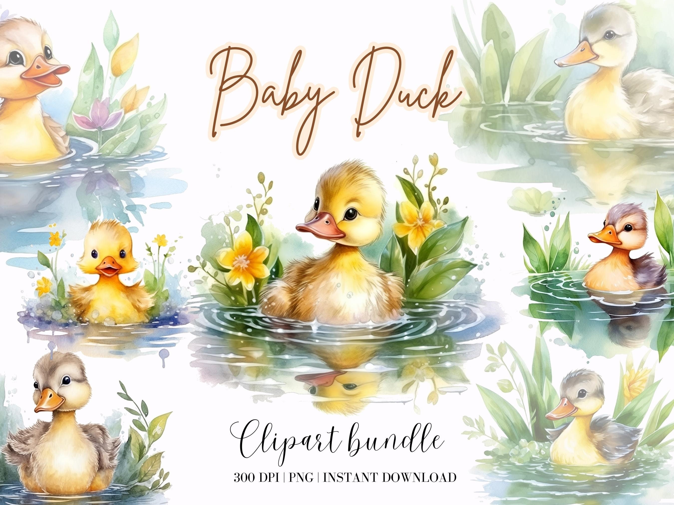 Watercolor Baby Duck in a Pond Clipart Cute Baby Duck Png Watercolor ...