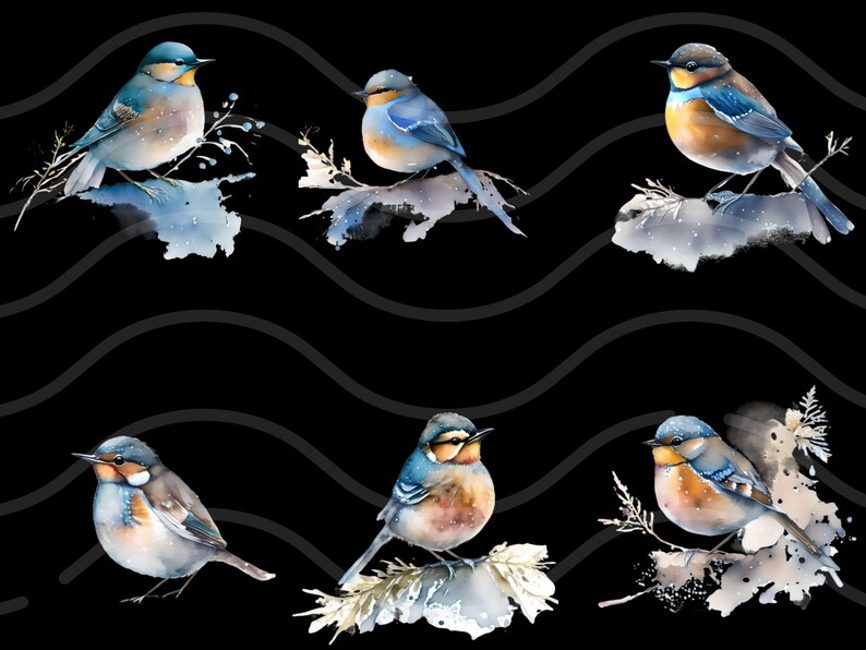 Winter Birds Clipart Bundle Watercolor Bird Clipart Christmas ...