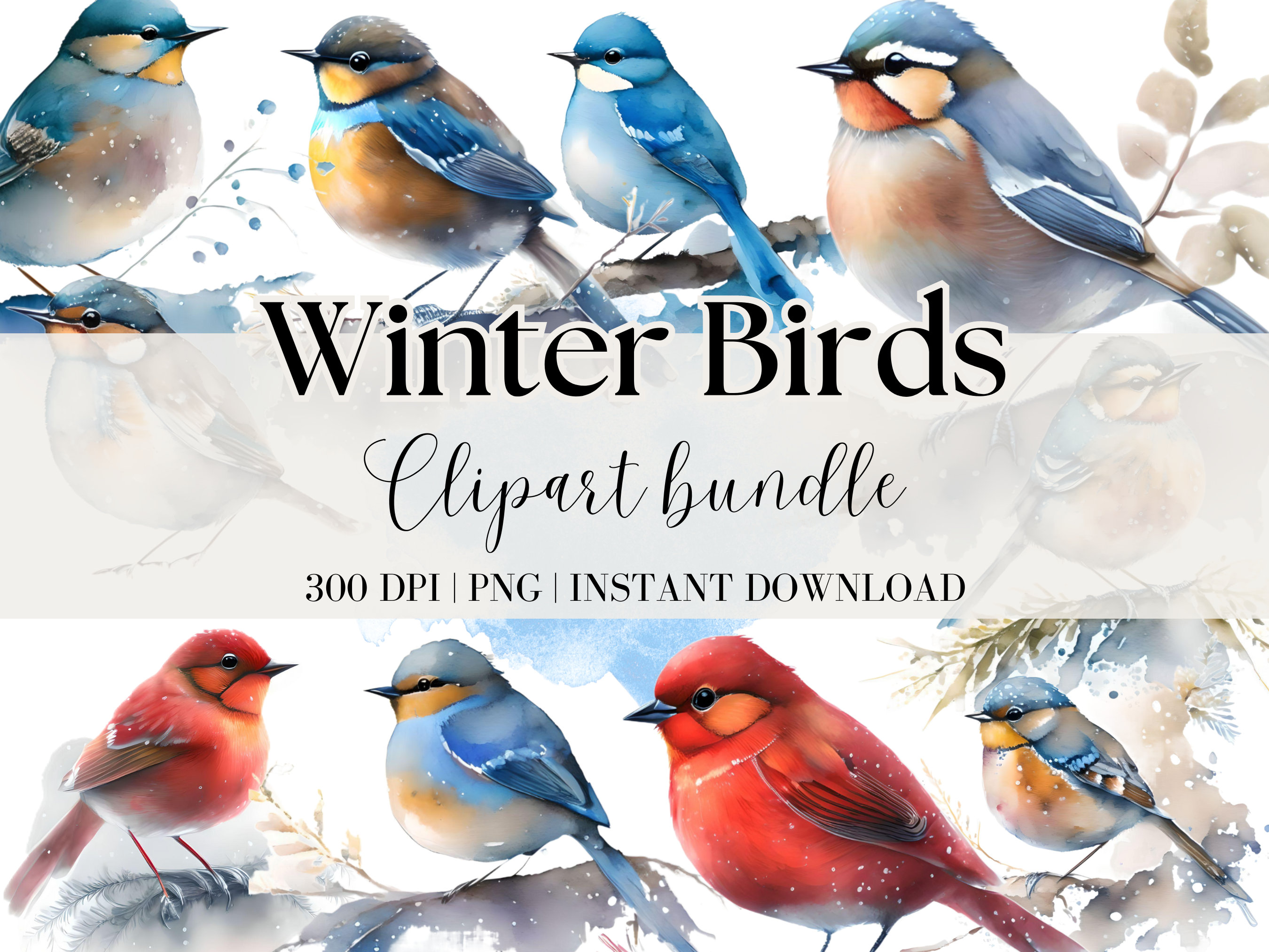 Winter Birds Clipart Bundle Watercolor Bird Clipart Christmas ...