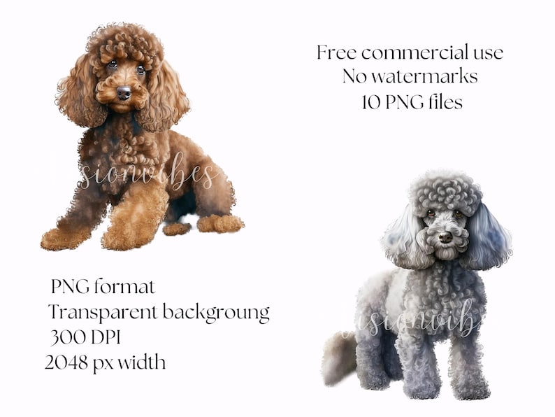 Poodle Clipart Bundle Watercolor Poodle Clipart Dog Lover Png - Etsy