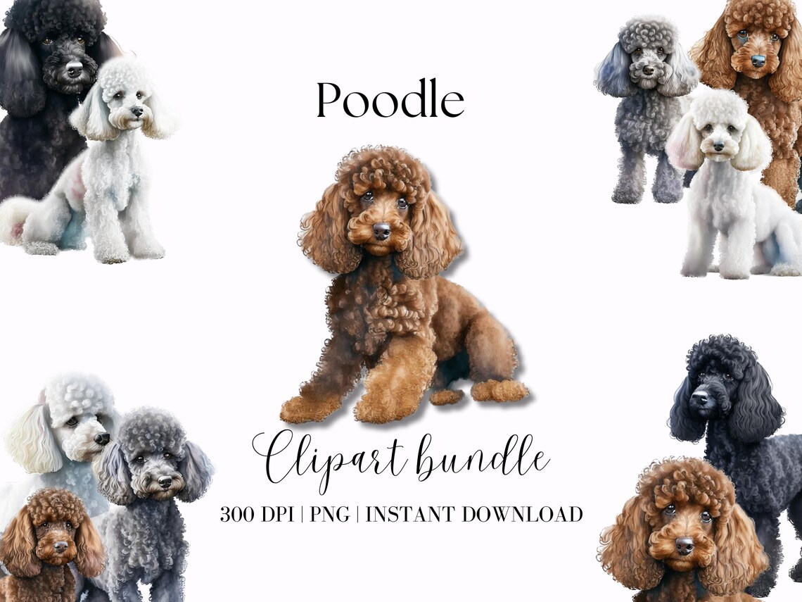 Poodle Clipart Bundle Watercolor Poodle Clipart Dog Lover Png Doglover ...
