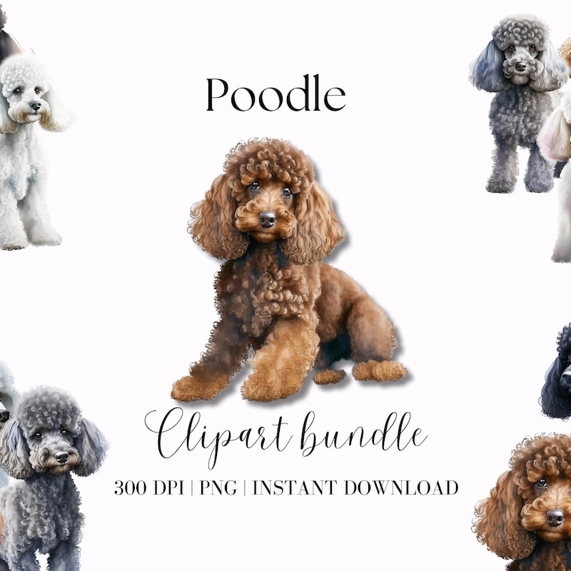 Poodle Clipart - Etsy