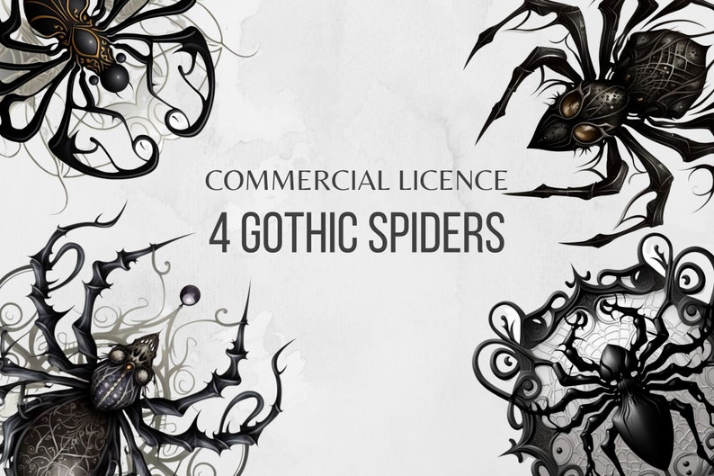 Goth Spider Clipart Goth Spider Png Spiders Png Antique Halloween ...