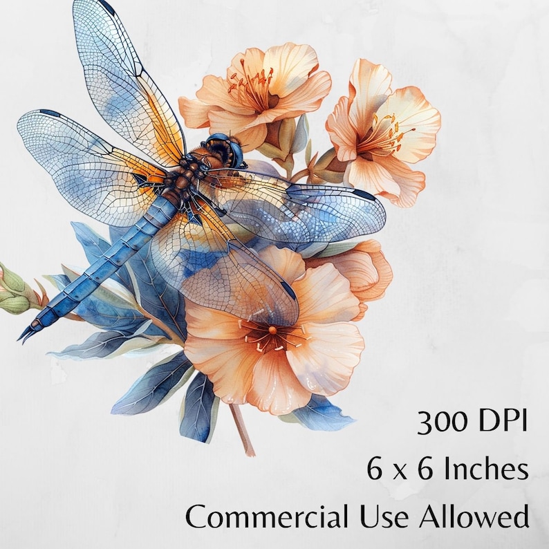 Dragonfly PNG Cute Dragonflies Flowers Clipart Garden Sublimation ...