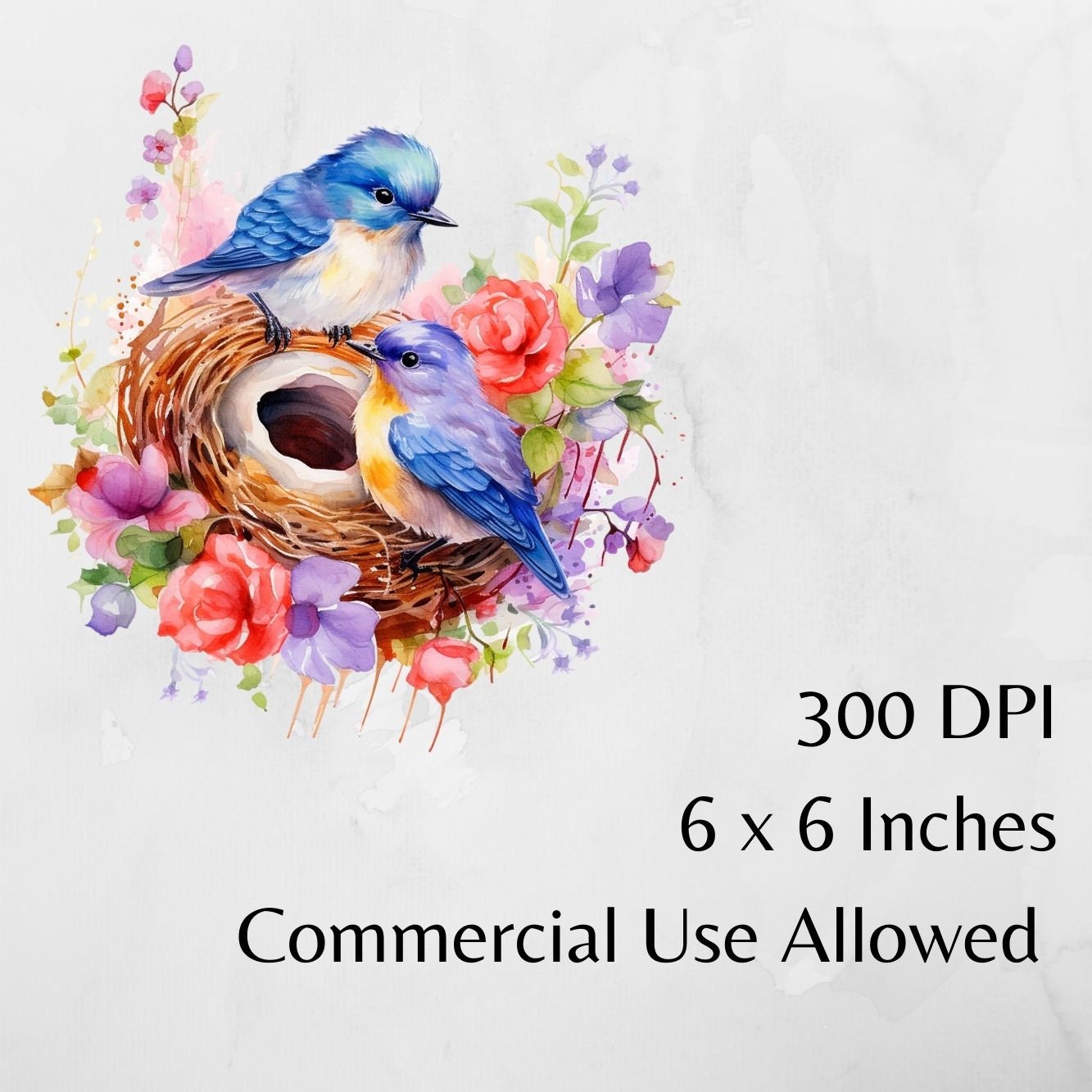 Watercolor Bird Nest Clipart Bundle Spring Clipart Garden Clipart ...