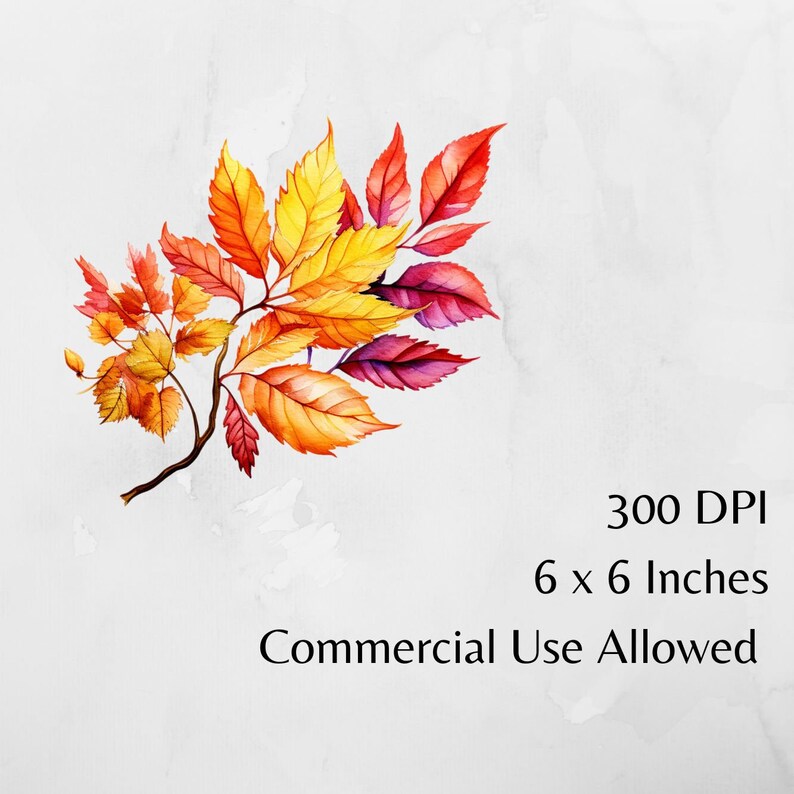 Fall Border PNG Fall Border Clipart Pumpkin Border Fall - Etsy