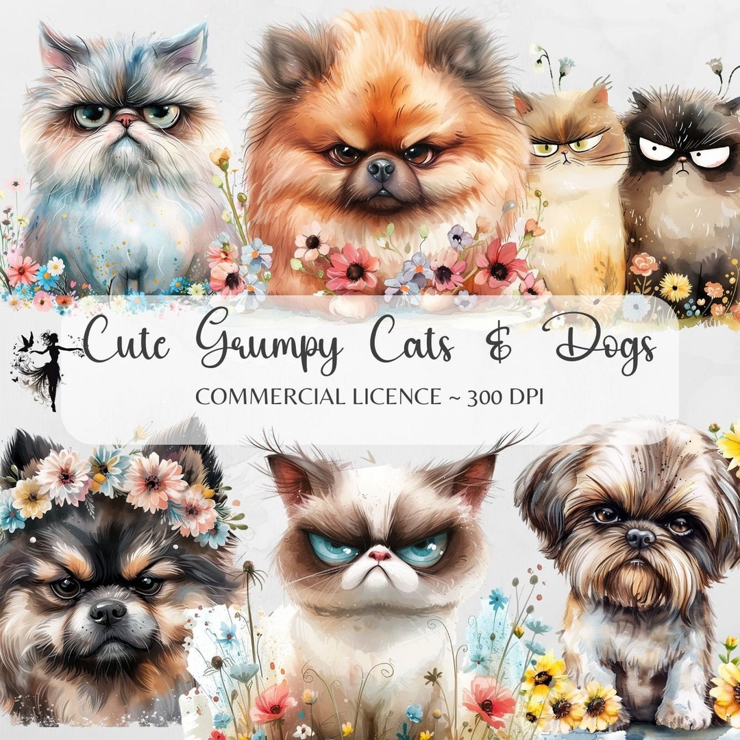 Cute Funny Cat Dog Clipart Angry Sublimation Design Scrapbook PNG Scrapbooking Grumpy Cat Dog ...