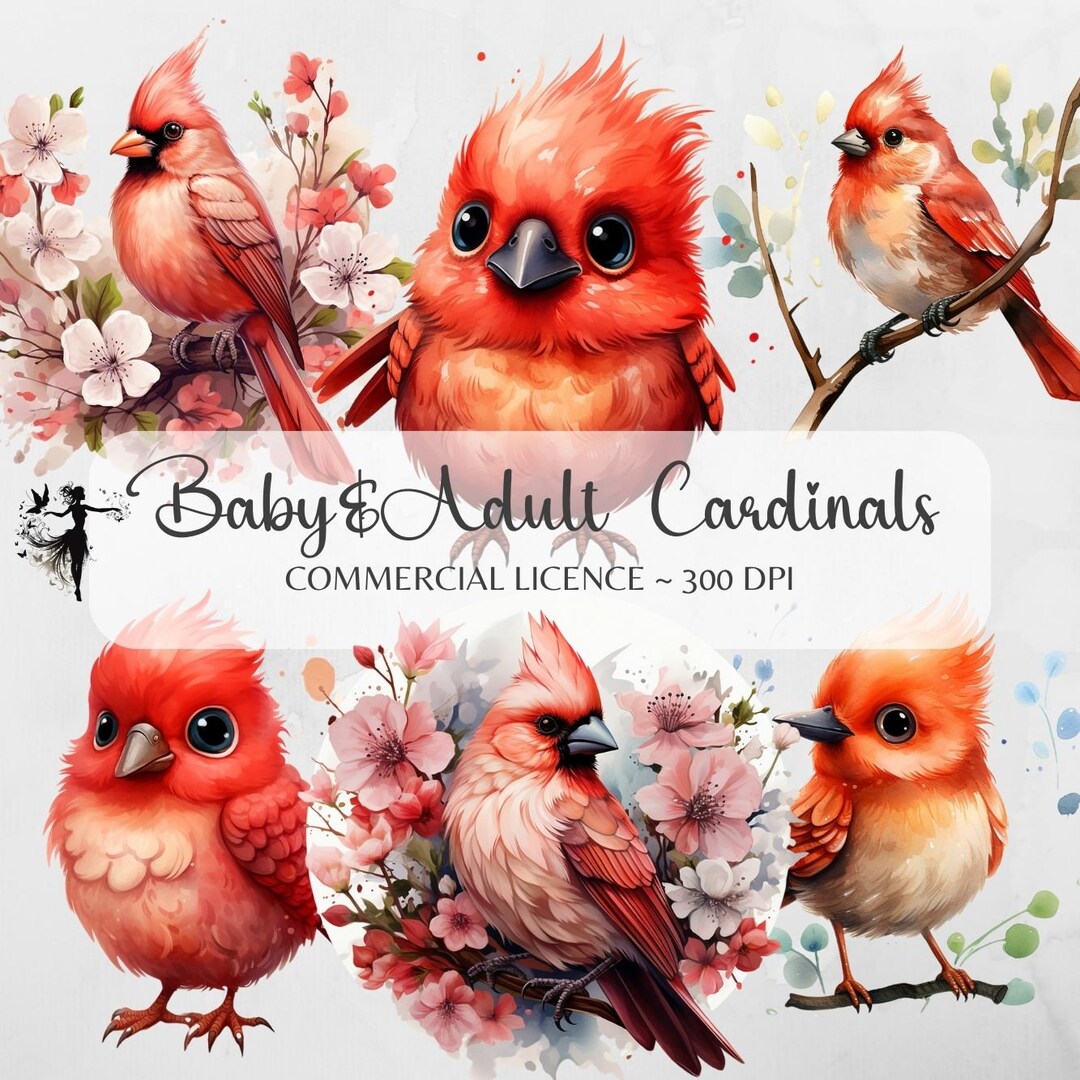 Cardinal PNG Cardinal Clipart Cardinal Ornament PNG Junk Journal ...