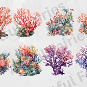 Coral Clipart Sea Life Clipart Ocean Clipart Under the Sea PNG Coral ...