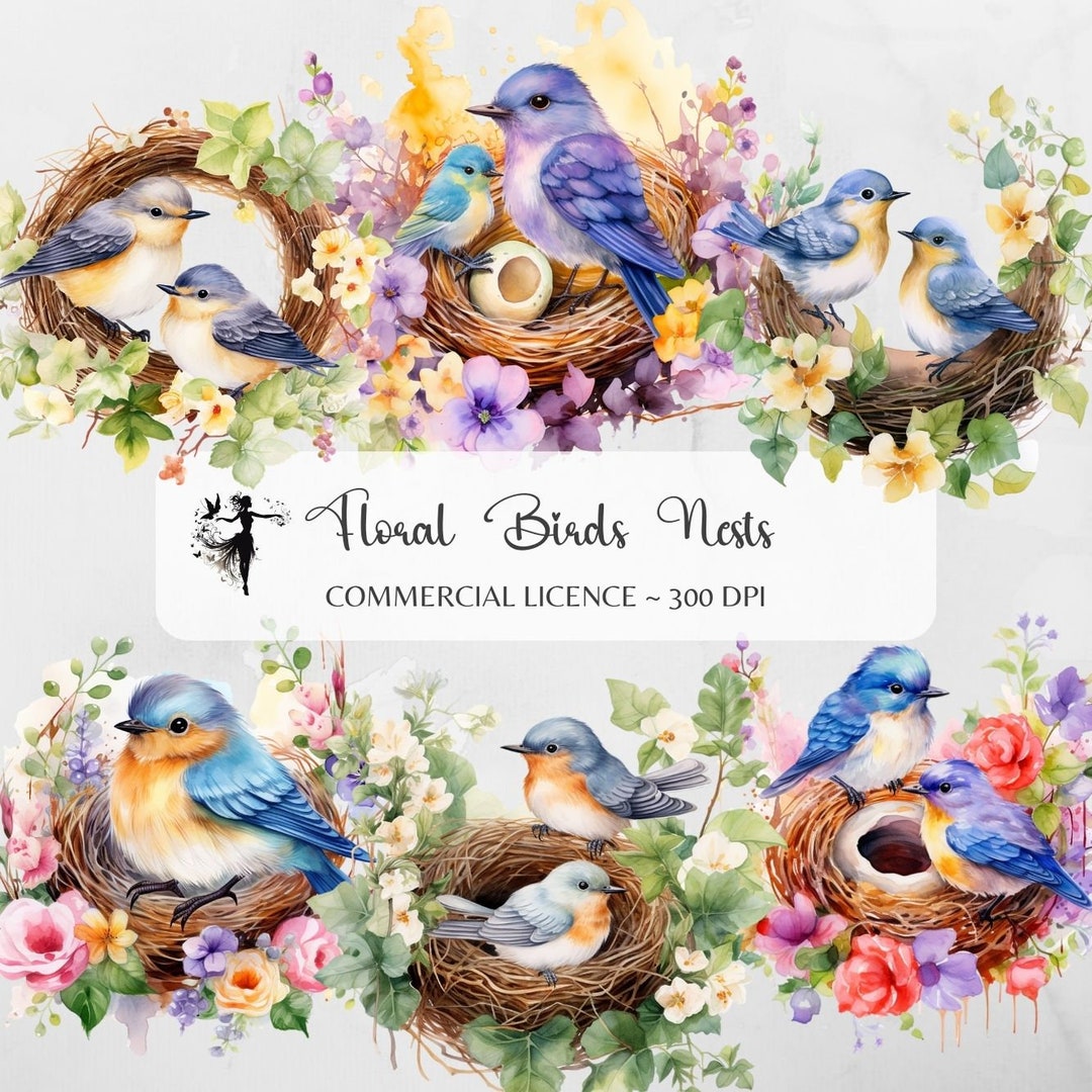 Watercolor Bird Nest Clipart Bundle Spring Clipart Garden Clipart ...