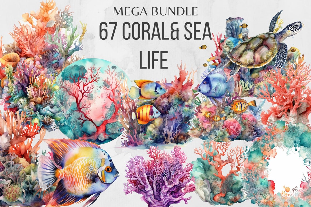 Coral Clipart Sea Life Clipart Ocean Clipart Under the Sea PNG Coral ...