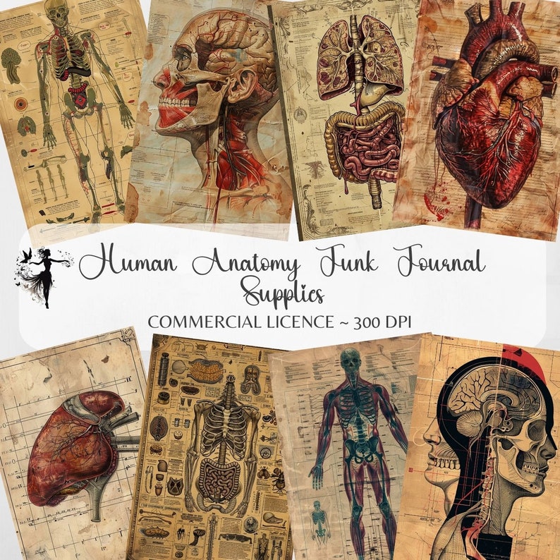 Human Anatomy Ephemera Clipart Bundle Digital Planner Junk Journal ...