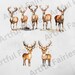 Reindeer PNG Watercolor Reindeer Clipart Cute Reindeer Christmas PNG ...