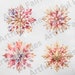 Pink Snowflake PNG Watercolor Snowflake Clipart Snowflakes PNG - Etsy