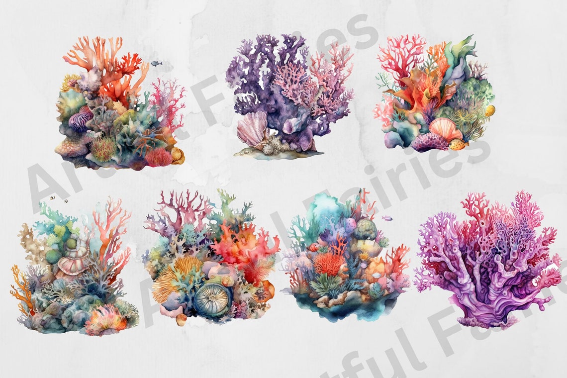 Coral Clipart Sea Life Clipart Ocean Clipart Under the Sea PNG Coral ...