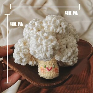 Broccoli Crochet Pattern, Cauliflower Crochet Pattern, Instant Digital ...
