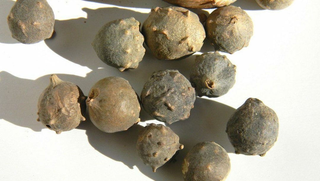 Moroccan Natural Tannin Tannins Herb Body Hair Care Pure - Etsy