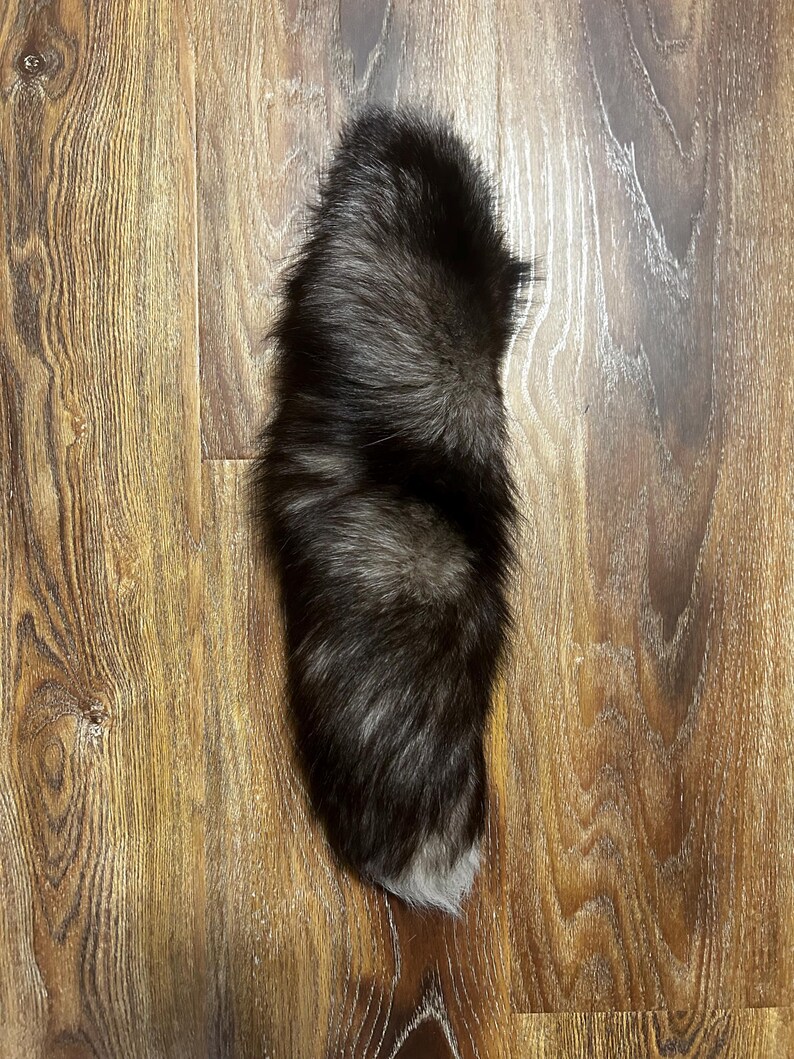 Genuine Large Fox Tail - Etsy