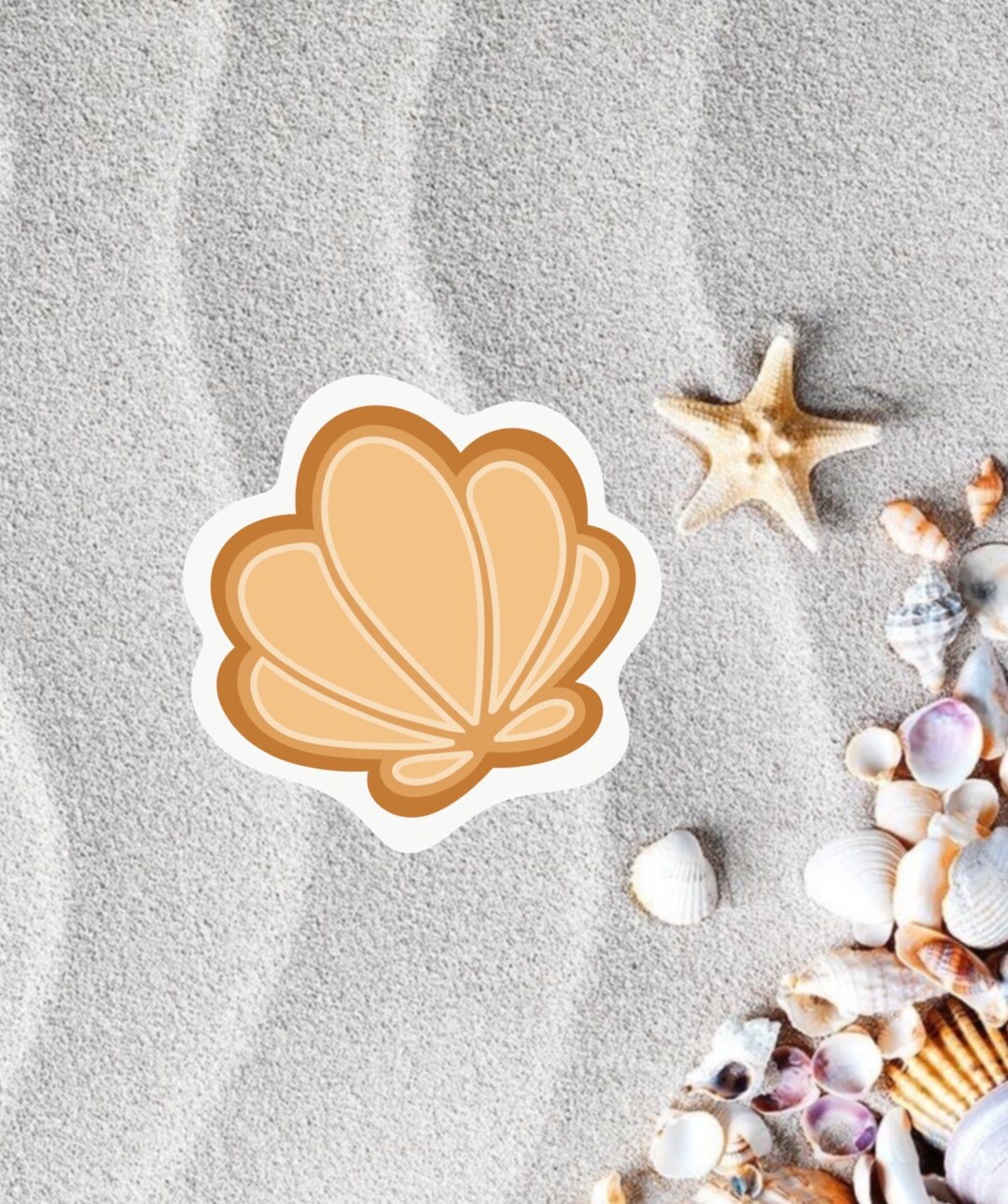 Seashell Sticker | Shell Sticker | Laptop Sticker | Water Bottle ...