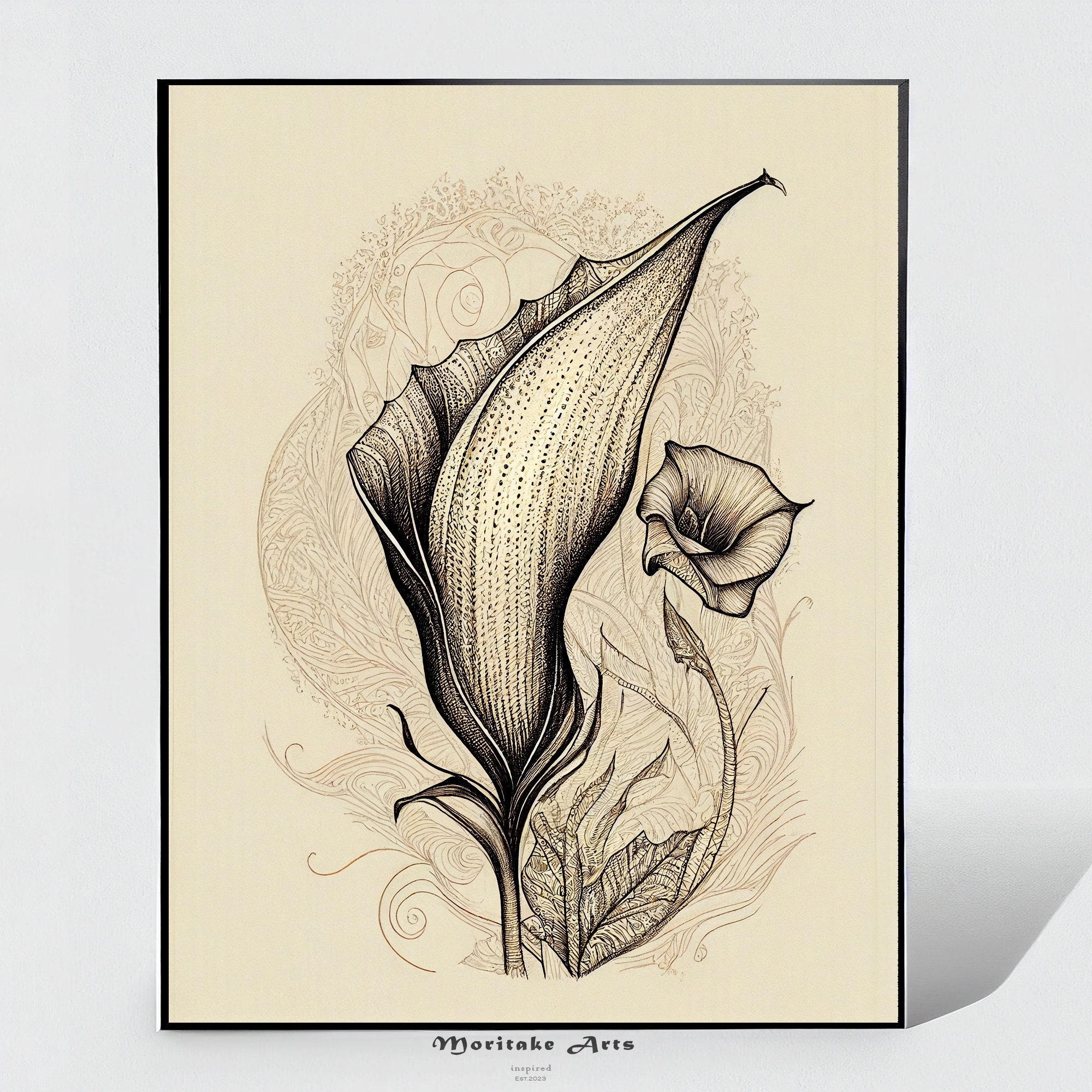 Calla Lily Pencil Drawing
