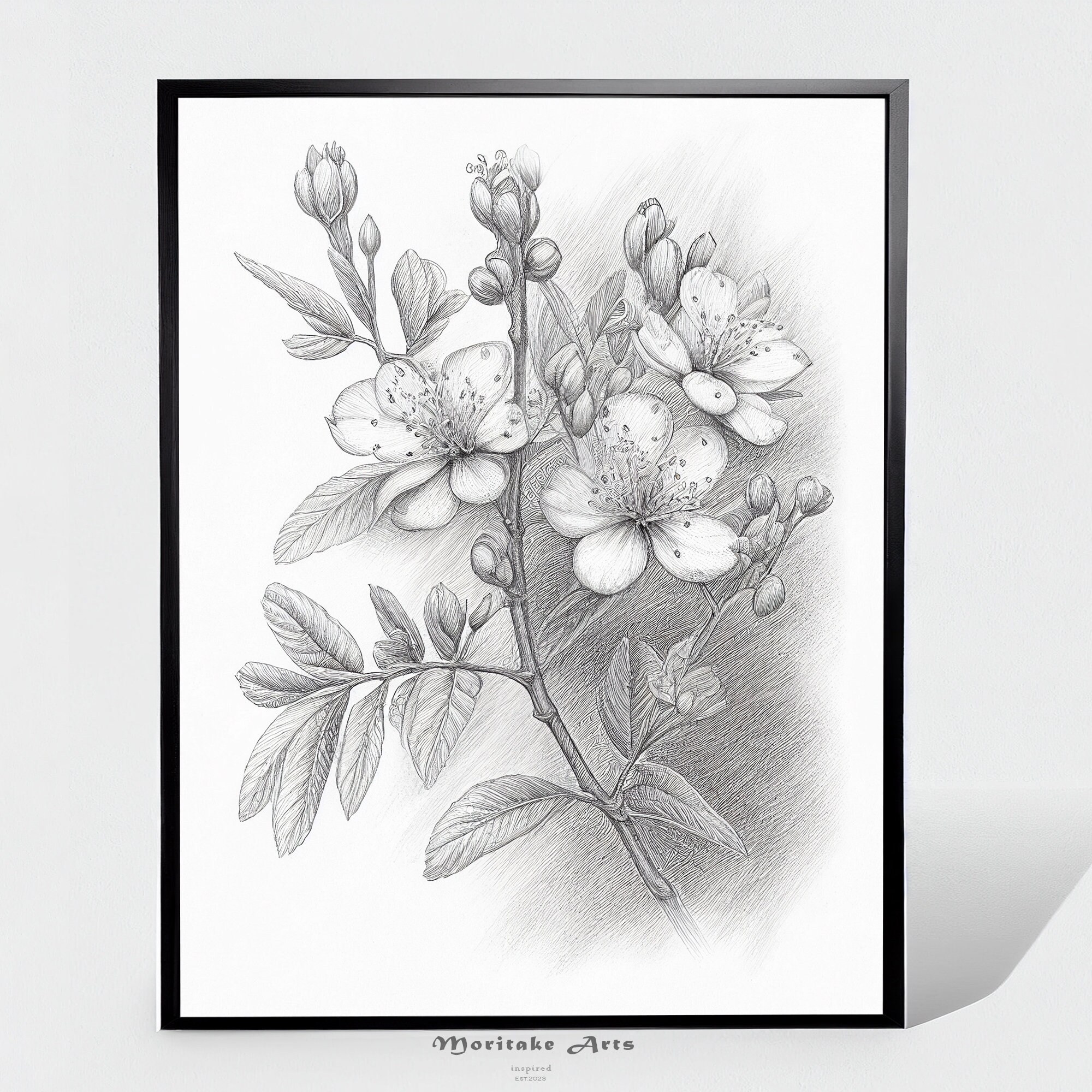 Cherry Blossom Pencil Drawing