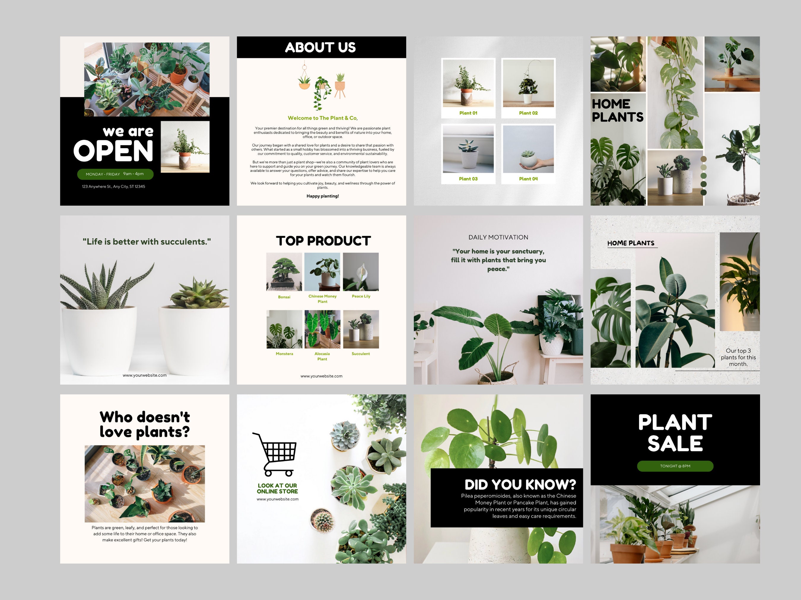 40 Instagram Plant Shop Canva Templates | Plant Store | Plants | Garden ...