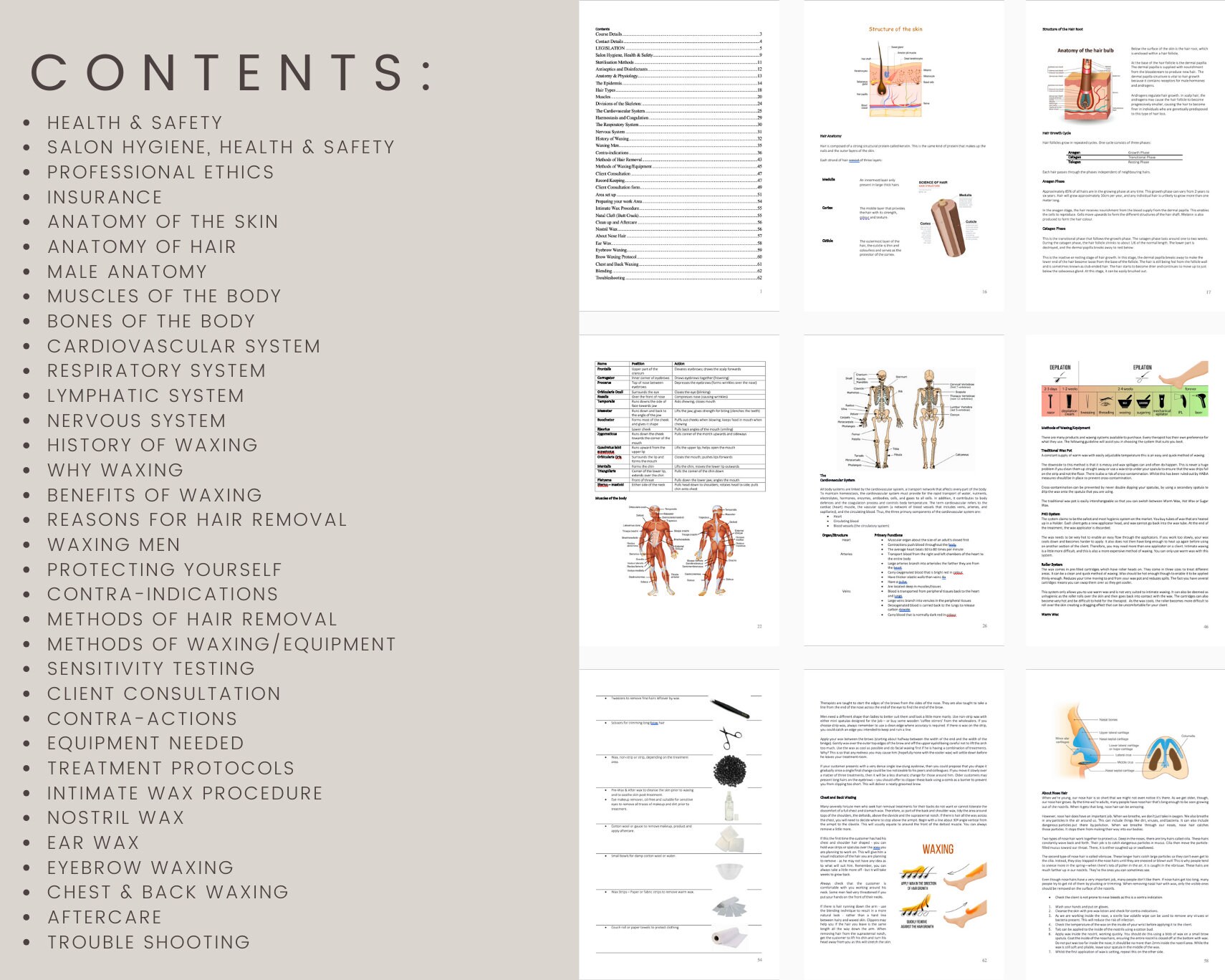 Male Waxing Digital Editable Training Manual Guide UK | Beauty Training ...