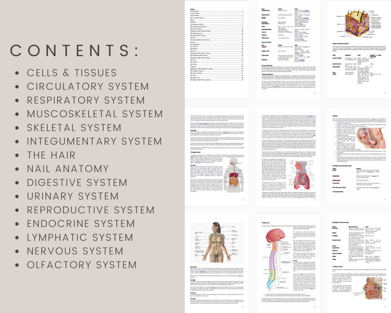 Anatomy & Physiology Digital Editable Training Manual Guide UK | Beauty ...