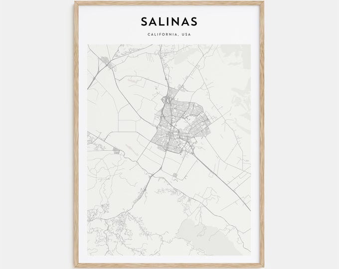 Salinas Vintage Map Poster Wall Art City Artwork Print Antique, Rustic ...