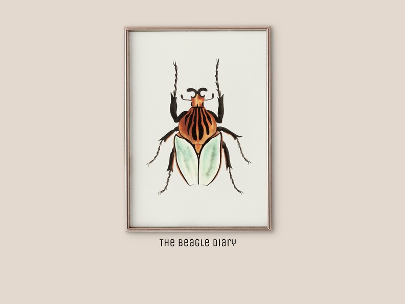 Vintage Bug Illustration/ Insect Wall Decor Vintage/ Retro - Etsy