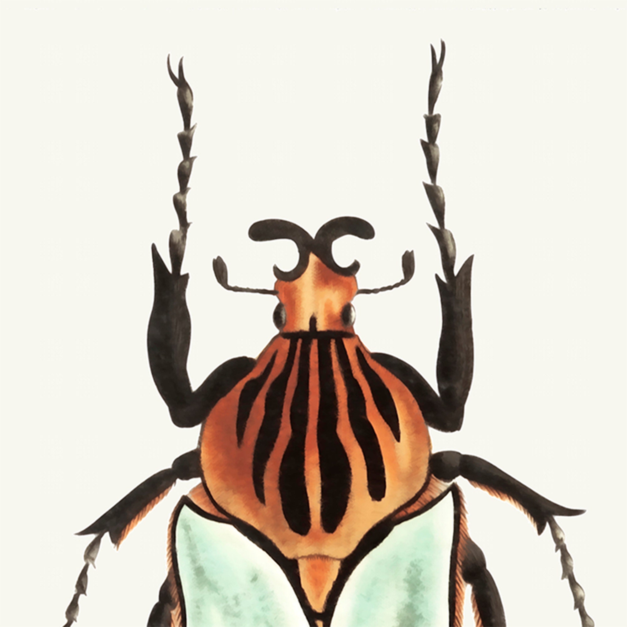 Vintage Bug Illustration/ Insect Wall Decor Vintage/ Retro - Etsy