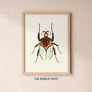 Vintage Bug Illustration/ Insect Wall Decor Vintage/ Retro - Etsy