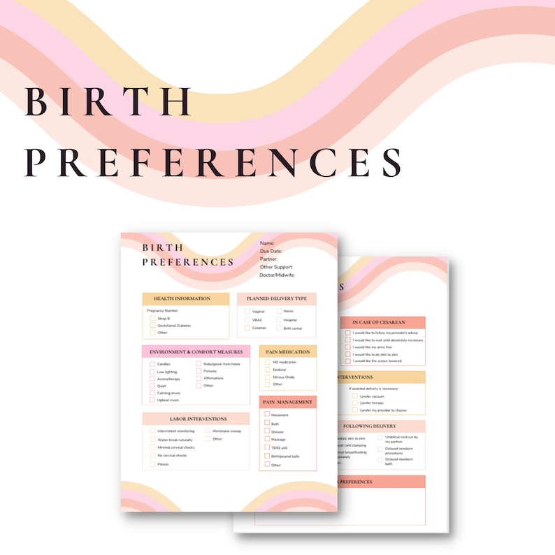 Editable Birth Plan Template Personalized Pregnancy and Labor ...