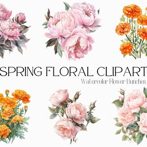 Spring Floral Clipart - 80 Floral Clipart Images in PNG Format - Etsy