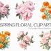 Spring Floral Clipart - 80 Floral Clipart Images in PNG Format - Etsy