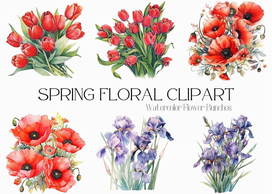 Spring Floral Clipart - 80 Floral Clipart Images in PNG Format - Etsy