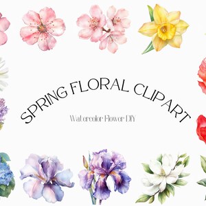 Spring Floral Clipart - 80 Floral Clipart Images in PNG Format - Etsy