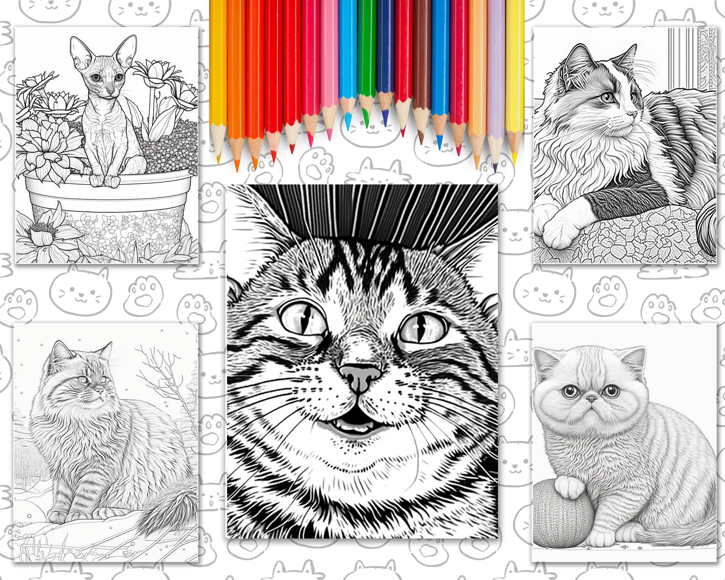 Cats Coloring Book Adults Kids Instant Download Grayscale - Etsy