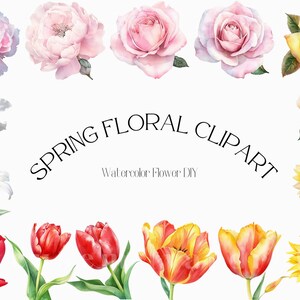 Spring Floral Clipart - 80 Floral Clipart Images in PNG Format - Etsy