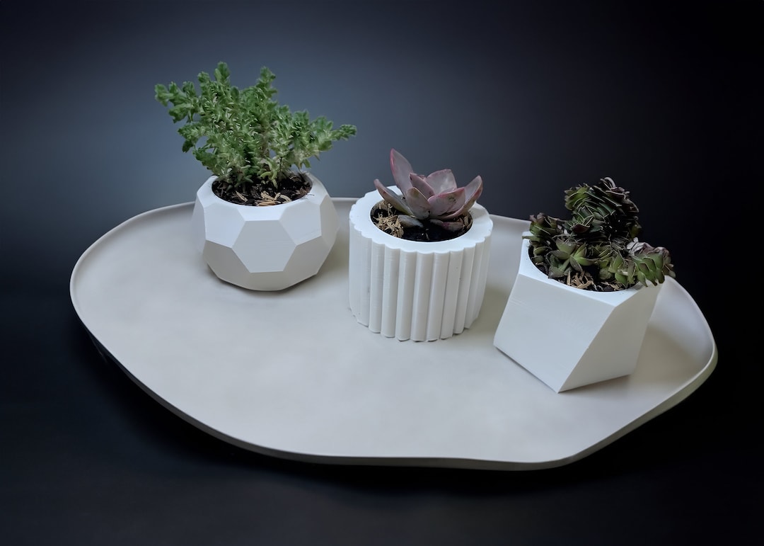 Modern Succulent Planter Pots, Abstract Mini Succulent Planter Pots ...