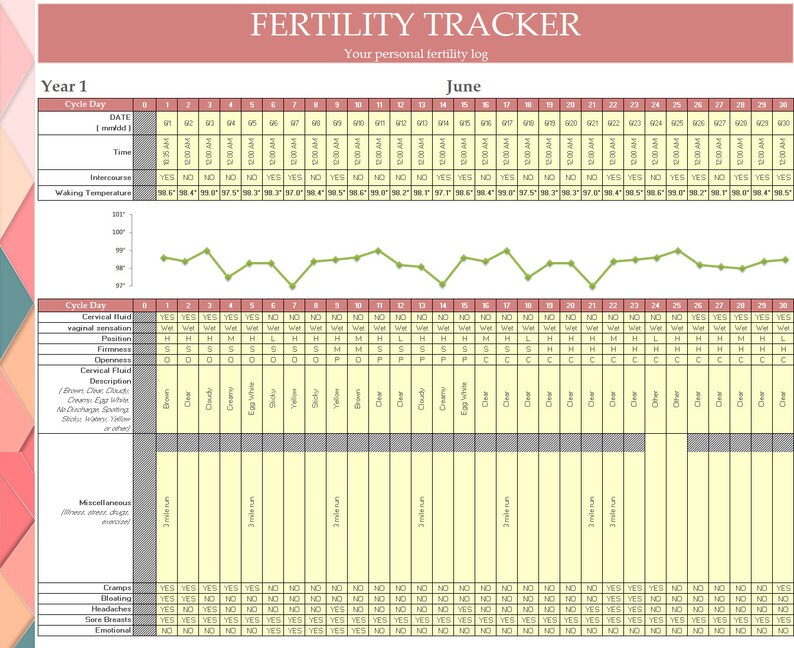IVF Journey Mate: the Ultimate IVF Tracker and Tracker - Etsy