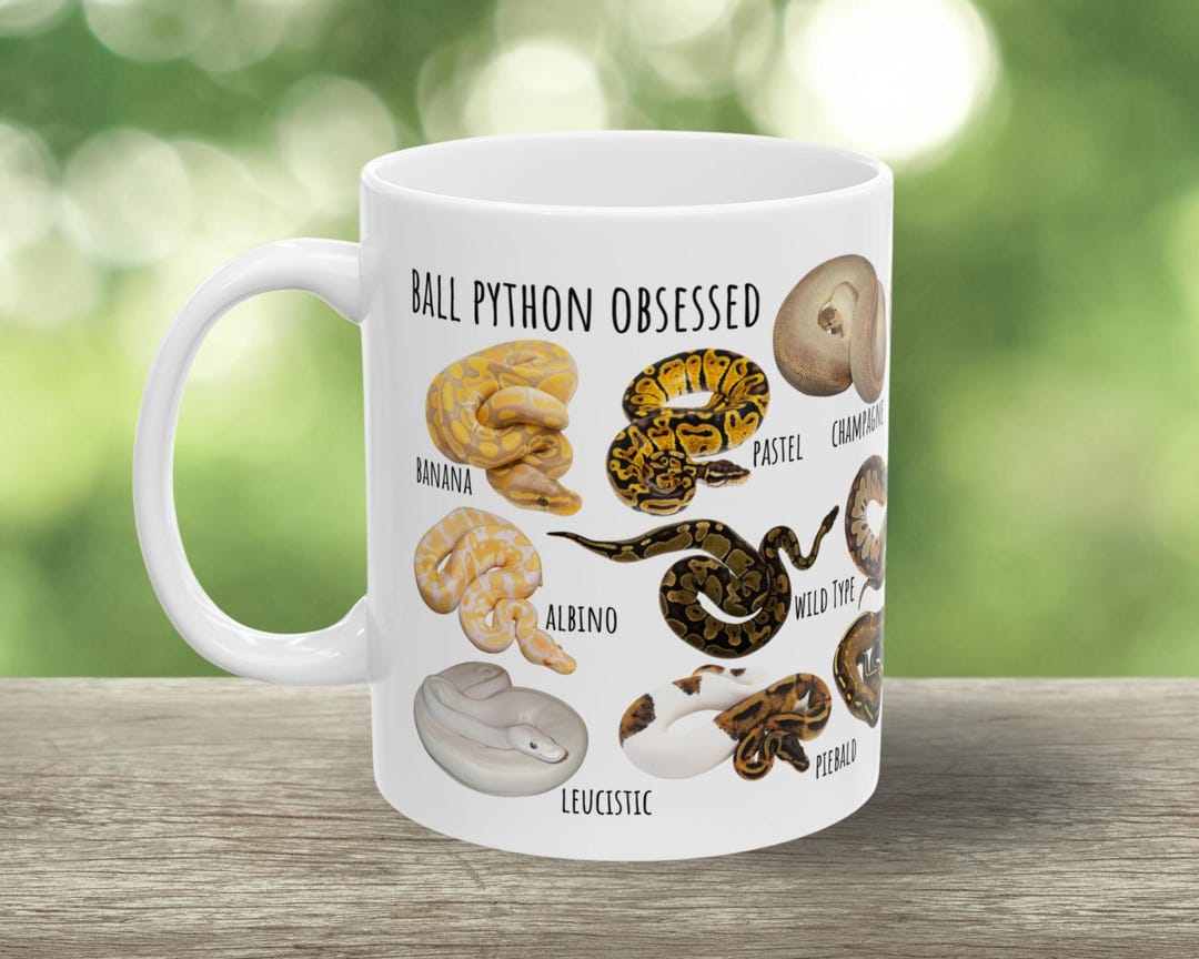 Ball Python Mug, Ball Python Morphs, Snake Morph, Python Mug, Snake Lover Gift, Reptile Gifts ...