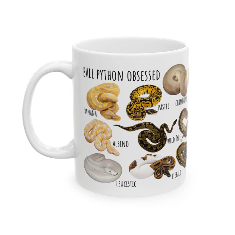 Ball Python Mug, Ball Python Morphs, Snake Morph, Python Mug, Snake Lover Gift, Reptile Gifts ...