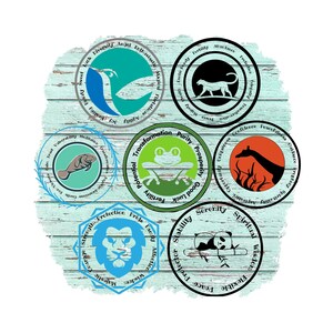 Animal SVG * Spirit Animals * Symbolisms * 66 Designs * Instant ...