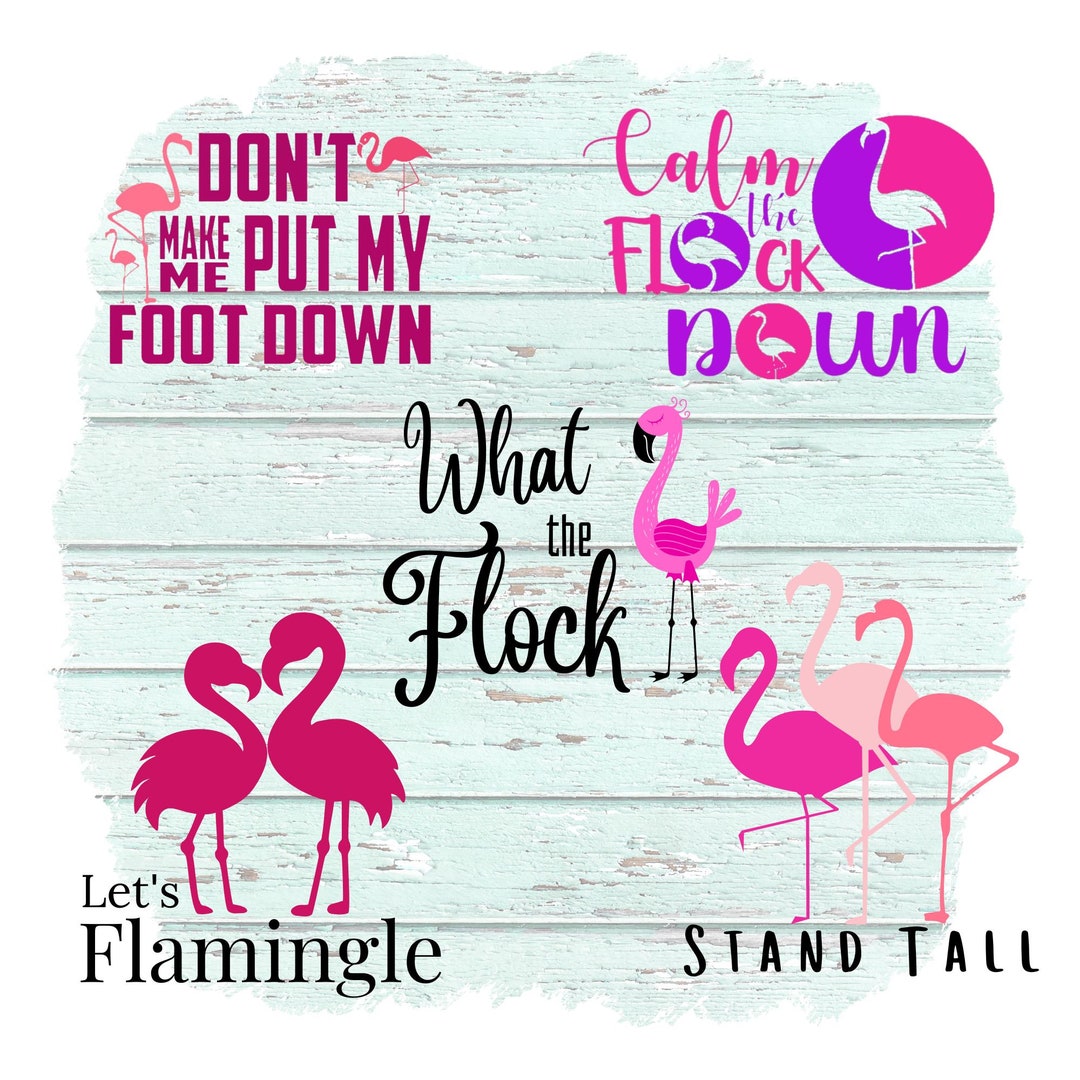 Flamingo * 5 Designs * What the Flock * Stand Tall * Let's Flamingle ...