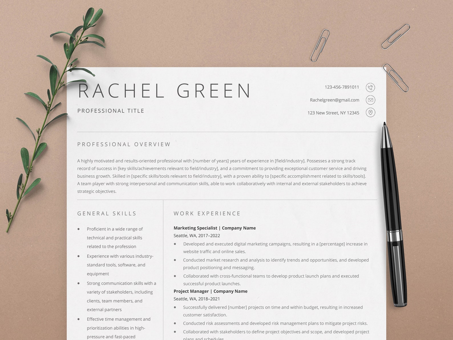 Professional Resume Template, Google Docs Template, Word, Pages ...