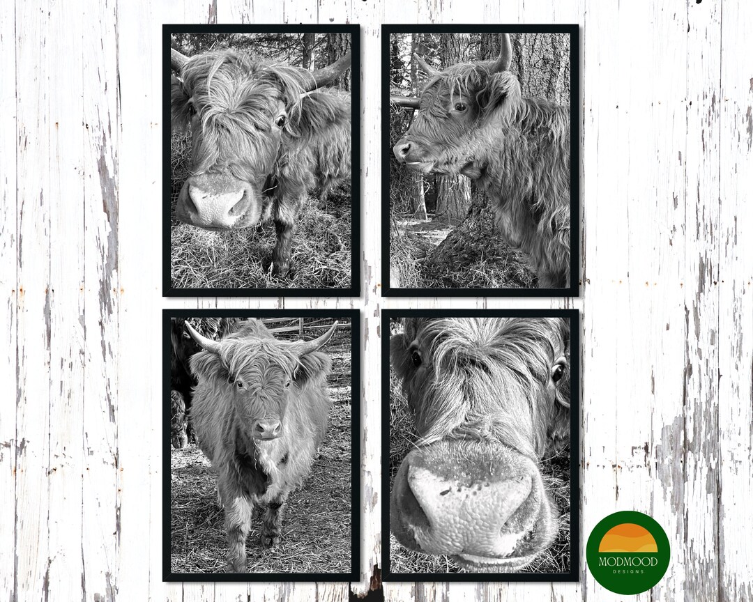Highland Cow Photography Farmhouse Mantel Decor Printable Art Set of ...